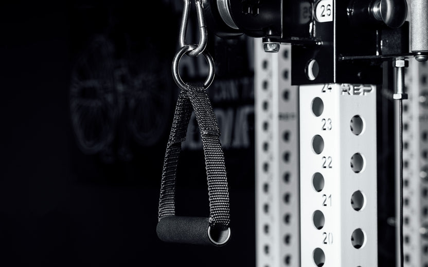 D-handle | REP Fitness