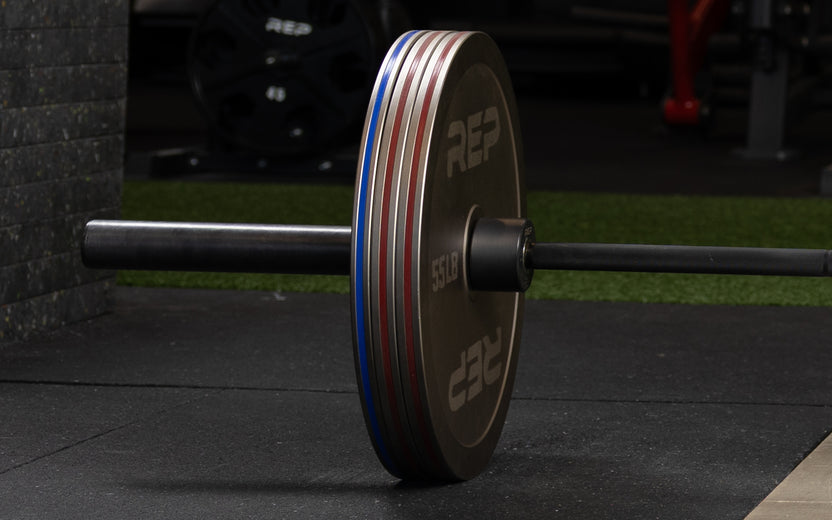 Calibrated Steel Plates (LB) | REP Fitness